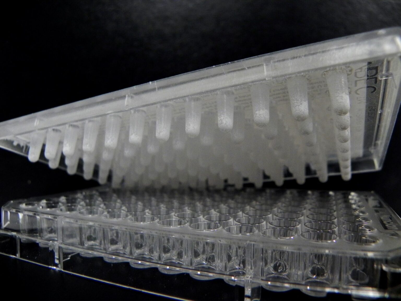 MBEC Assay® Biofilm Inoculator with 96 Well Base & Hydroxyapatite ...