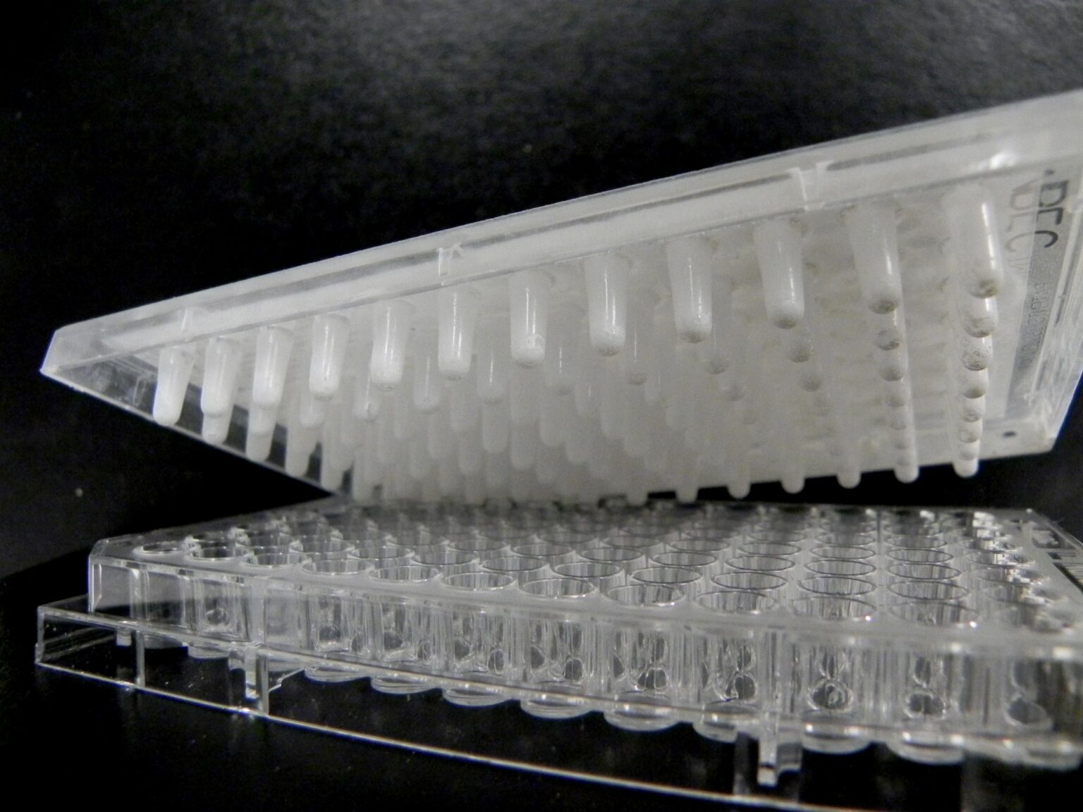 MBEC Assay® Biofilm Inoculator with 96 Well Base & Titanium Dioxide ...