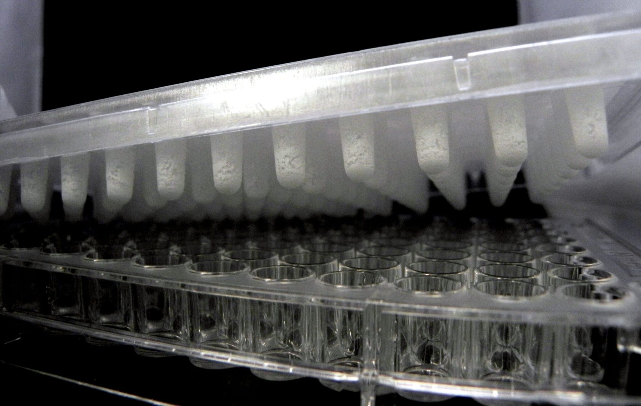 MBEC Assay® Biofilm Inoculator with 96 Well Base & Cellulose Coated ...