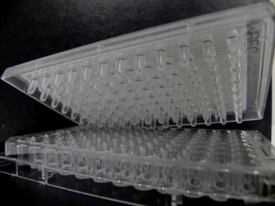 Antimicrobial Testing & Biofilm Solutions in Canada, U.S | Innovotech