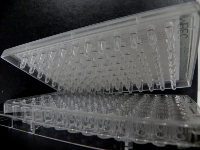 Antimicrobial Testing & Biofilm Solutions in Canada, U.S | Innovotech